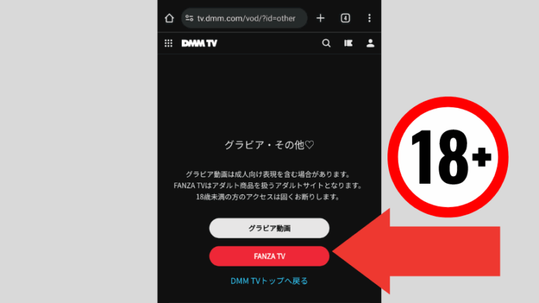 【18禁】DMM TVでアダルト作品を安全に見る方法とその設定方法 | 株式会社AFREVI（アフレビ）