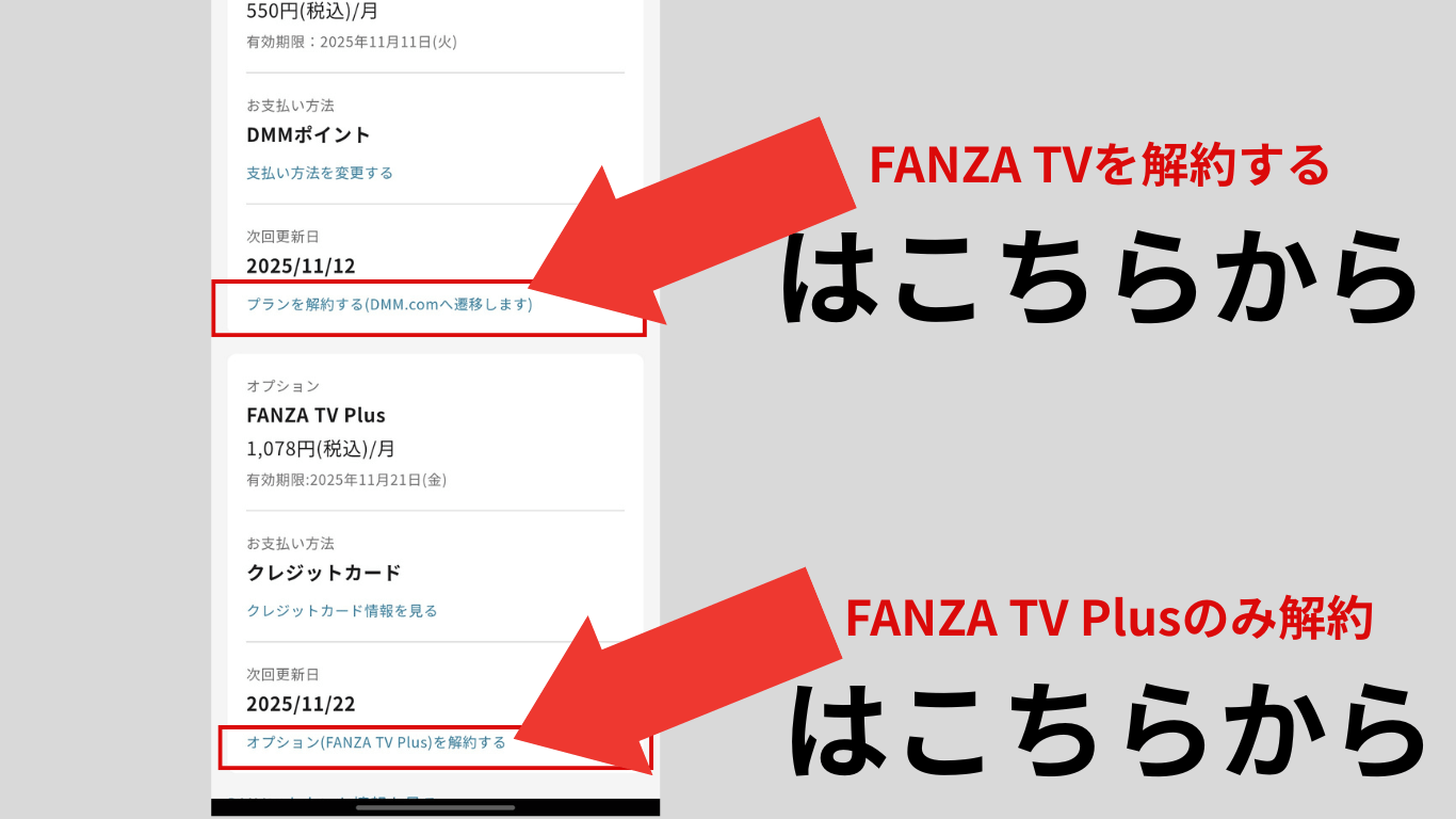 コスパが分かる！FANZA(ファンザ)見放題・全種類サブスク完全ガイド | 株式会社AFREVI（アフレビ）